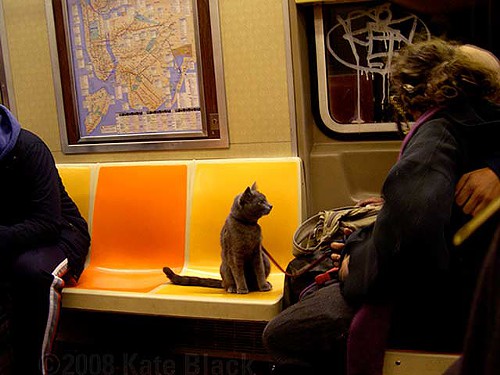 How to Ride the Goddamn Subway - Page 6 of 7 - BKMAG