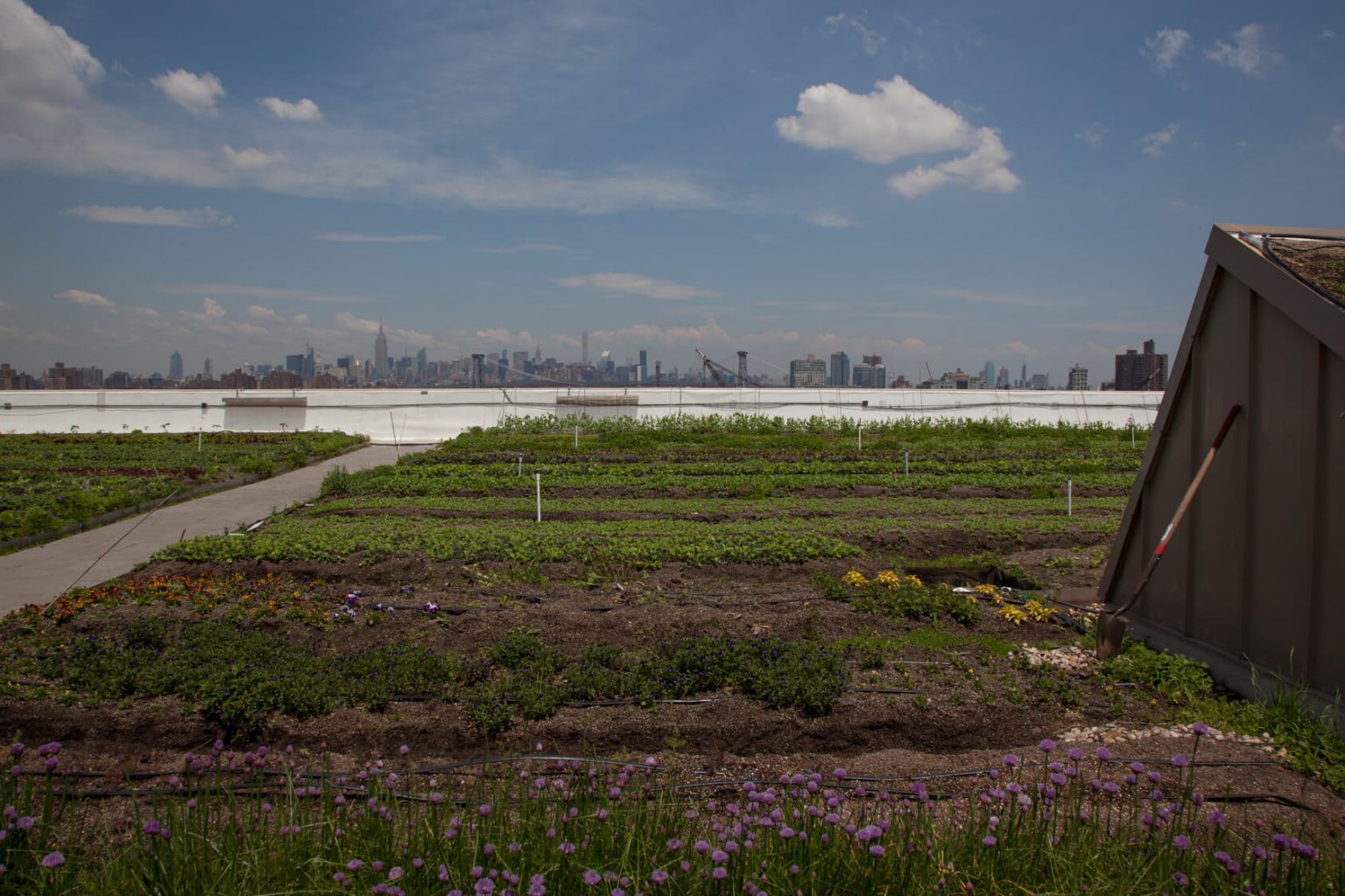 At the Brooklyn Grange, New York City's Largest Rooftop Farm - BKMAG