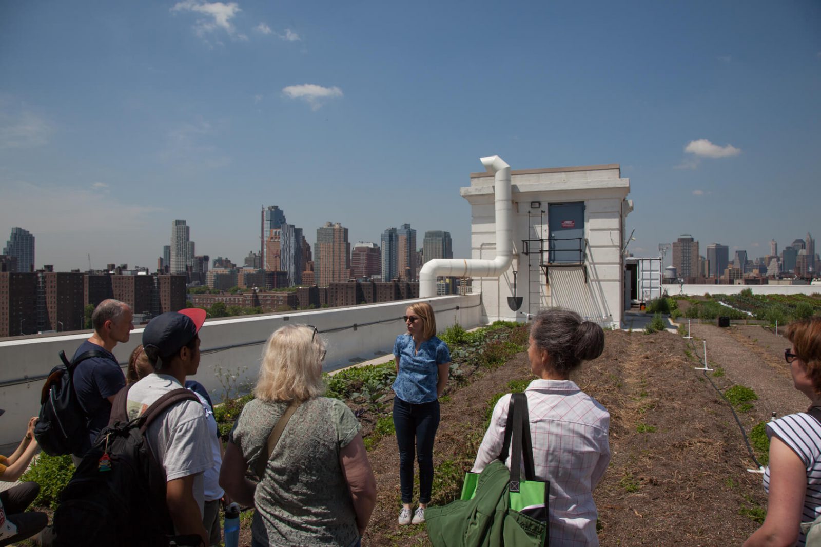 At the Brooklyn Grange, New York City's Largest Rooftop Farm - BKMAG