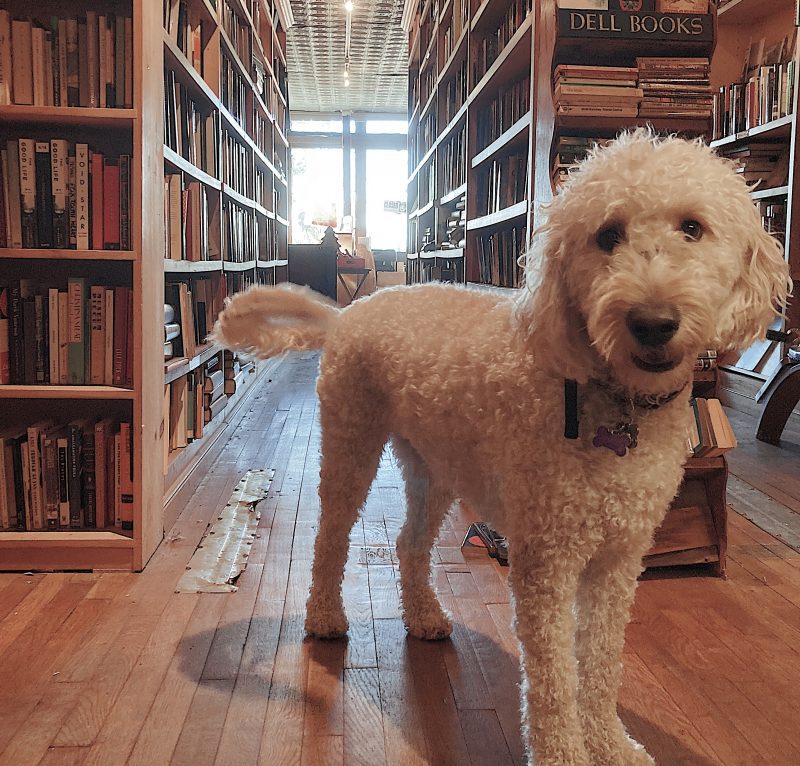 9 indie Brooklyn Bookstores to visit today - BKMAG