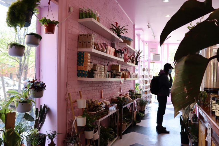 DOOMSDAY: A new biography of rapper MF DOOM takes a peek behind the ...