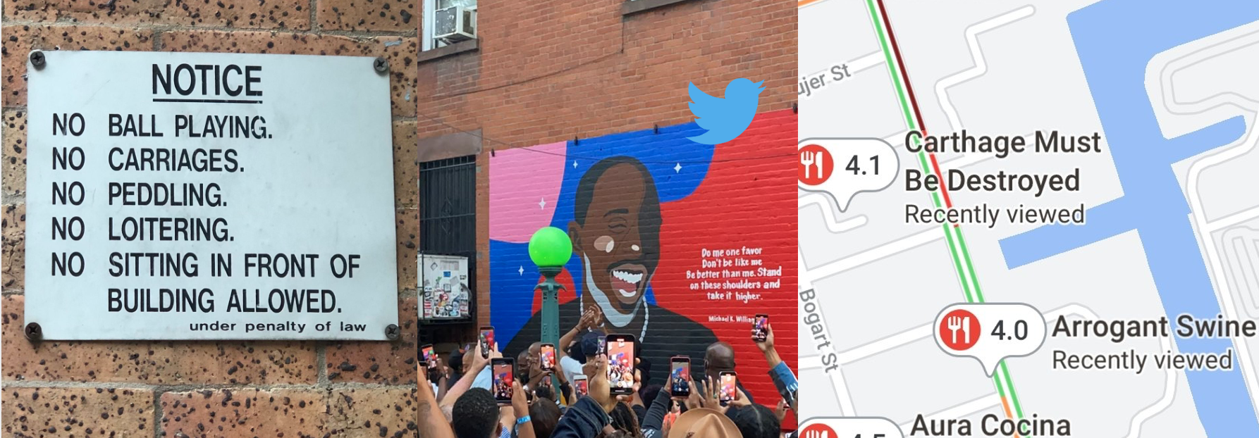 The 50 Funniest People In Brooklyn - Brooklyn Magazine