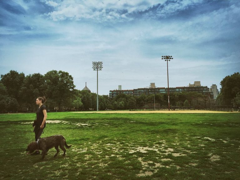 Jordan Colon: Local Food, Local Pottery - Brooklyn Magazine