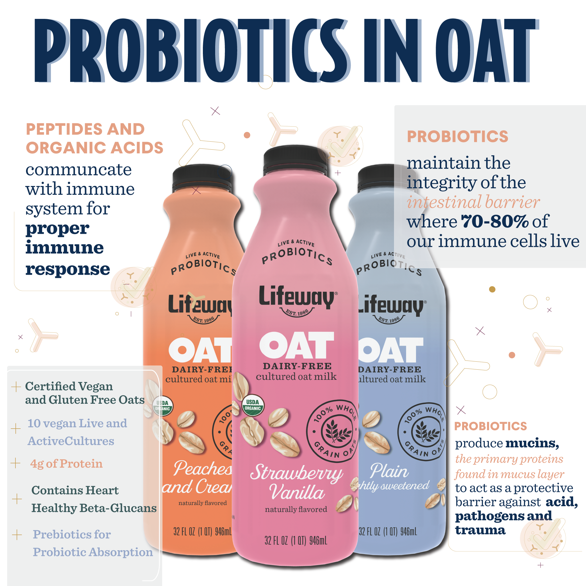 A Probiotic Drink For Immune Support - BKMAG