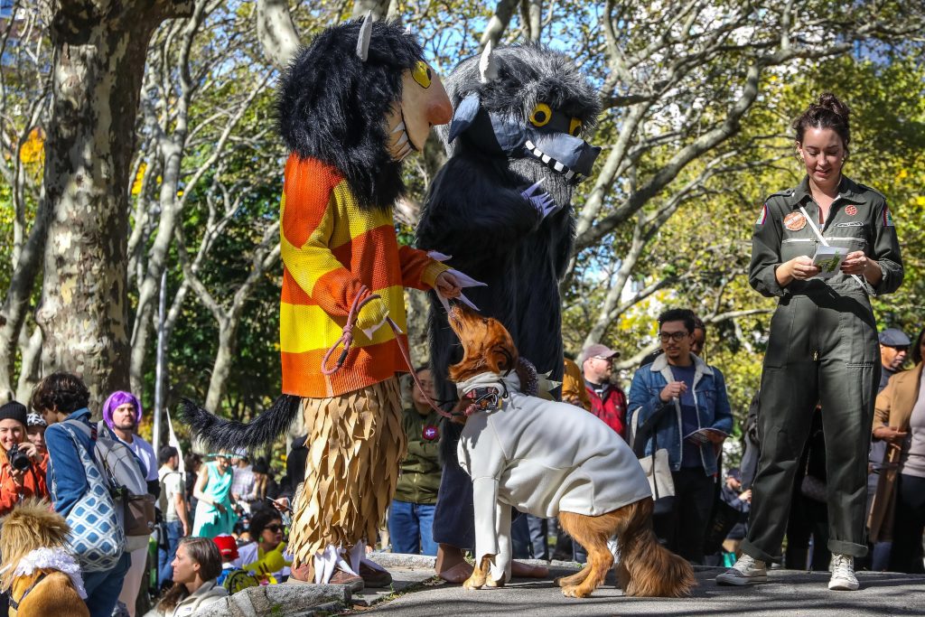 Scenes from Saturday's huge ‘Great Pupkin’ dog Halloween contest in ...