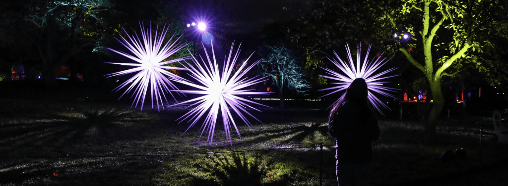 Winter wonderland 'Lightscape' returns to Brooklyn Botanic Garden - BKMAG