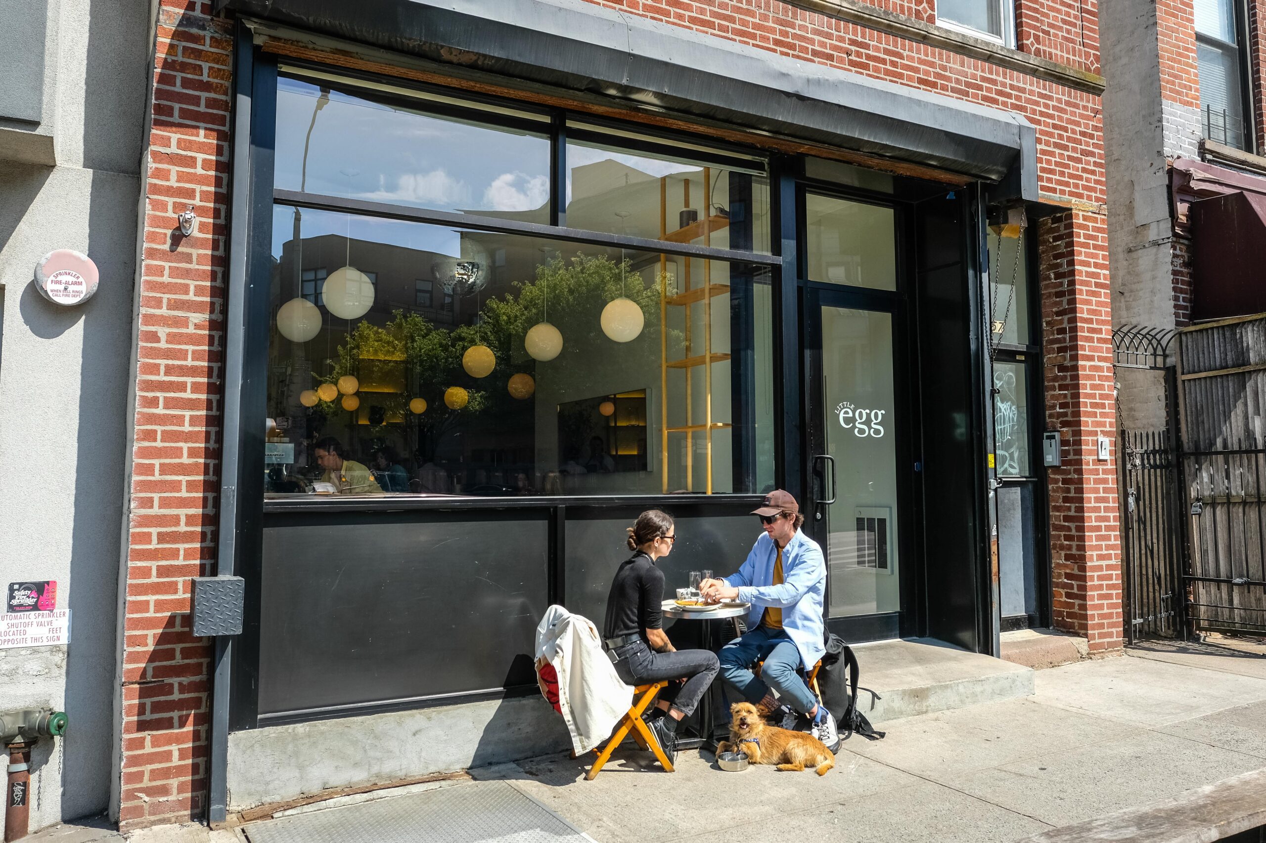 Williamsburg's beloved brunch spot Egg (RIP) is reborn as Little Egg in ...