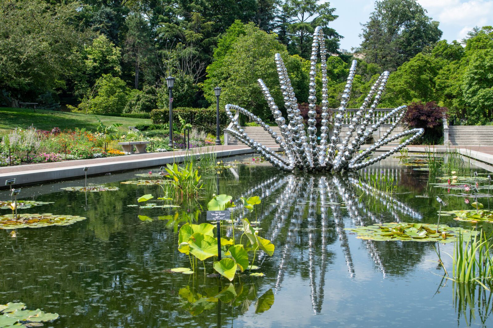 Summer Blooms At Brooklyn Botanic Garden - BKMAG