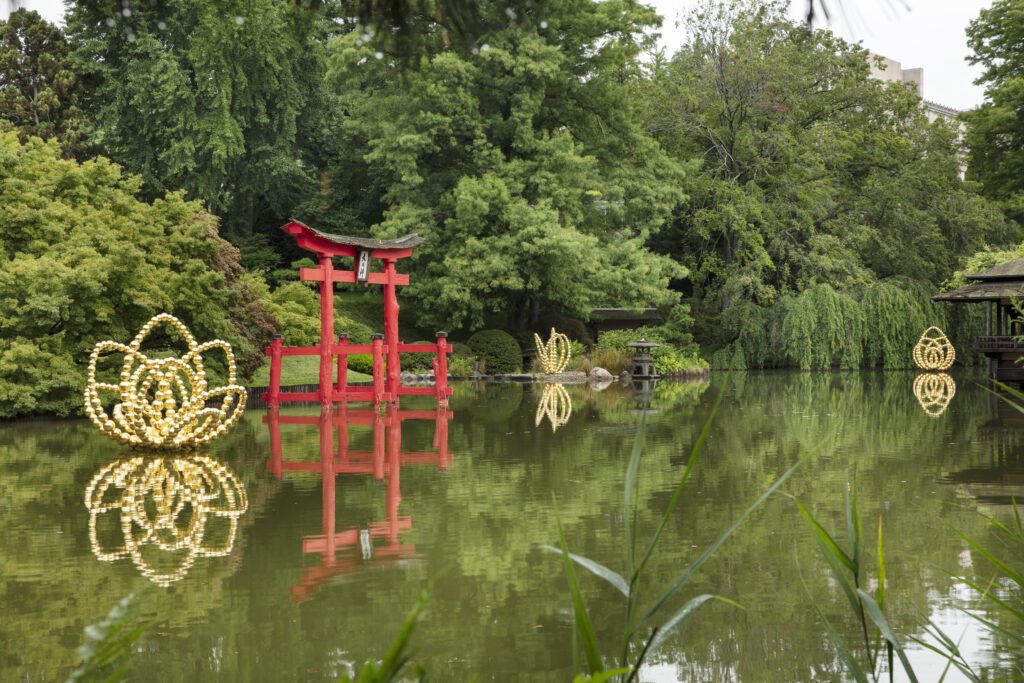 New flower sculptures at the Botanic Garden hypnotize and inspire - BKMAG