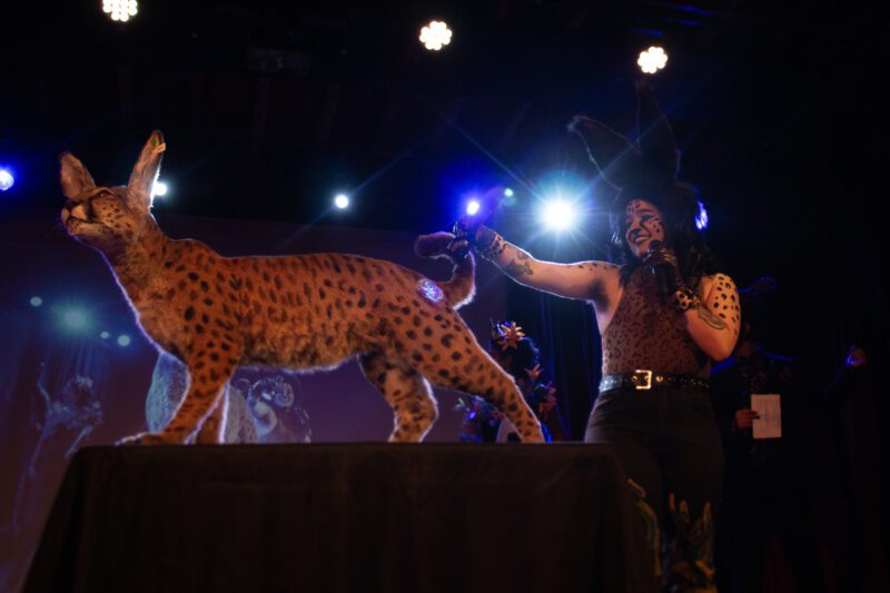 DOOMSDAY: A new biography of rapper MF DOOM takes a peek behind the ...