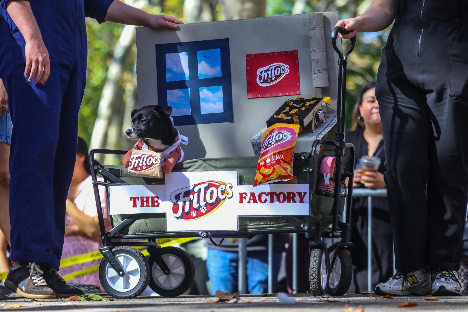 Meet the good doggos at the 25th annual Great PUPkin costume contest ...