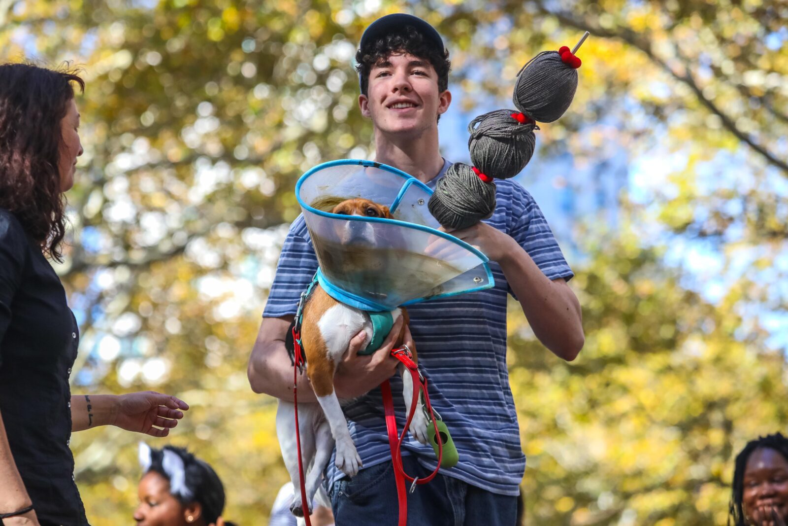 Meet the good doggos at the 25th annual Great PUPkin costume contest ...