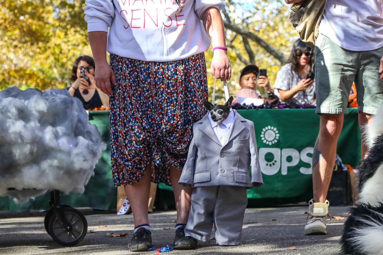 Meet the good doggos at the 25th annual Great PUPkin costume contest ...