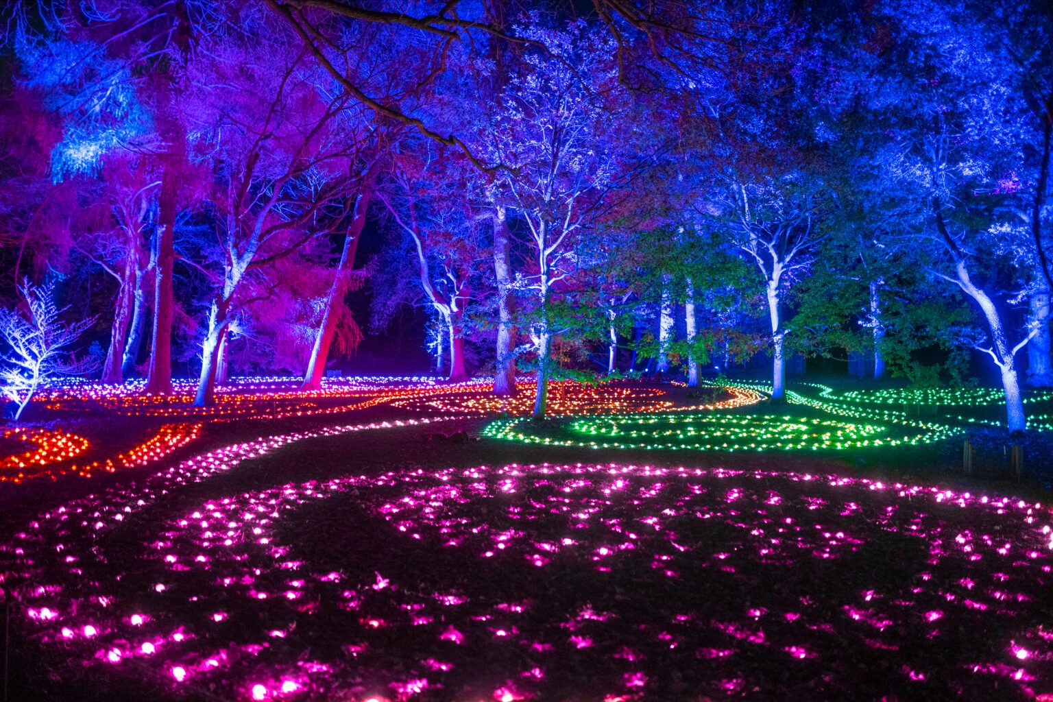 Preview: Brooklyn Botanic Garden’s stunning holiday Lightscape returns this month - BKMAG