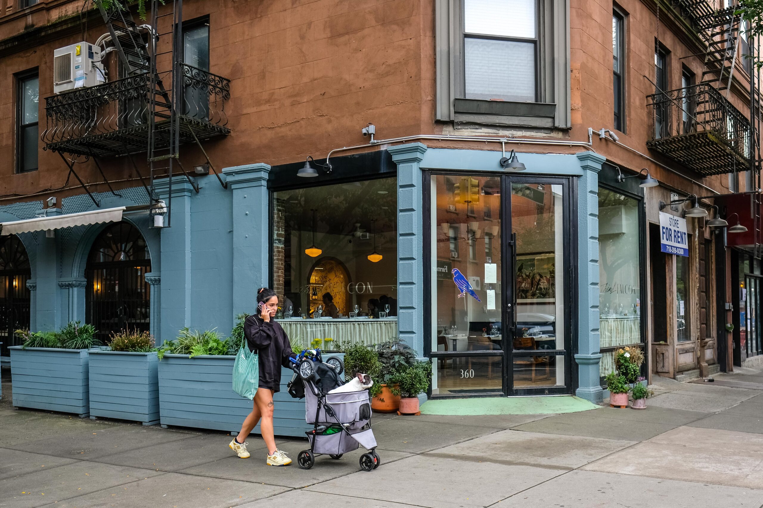 Third Falcon brings the flavors of northern France to Fort Greene - BKMAG